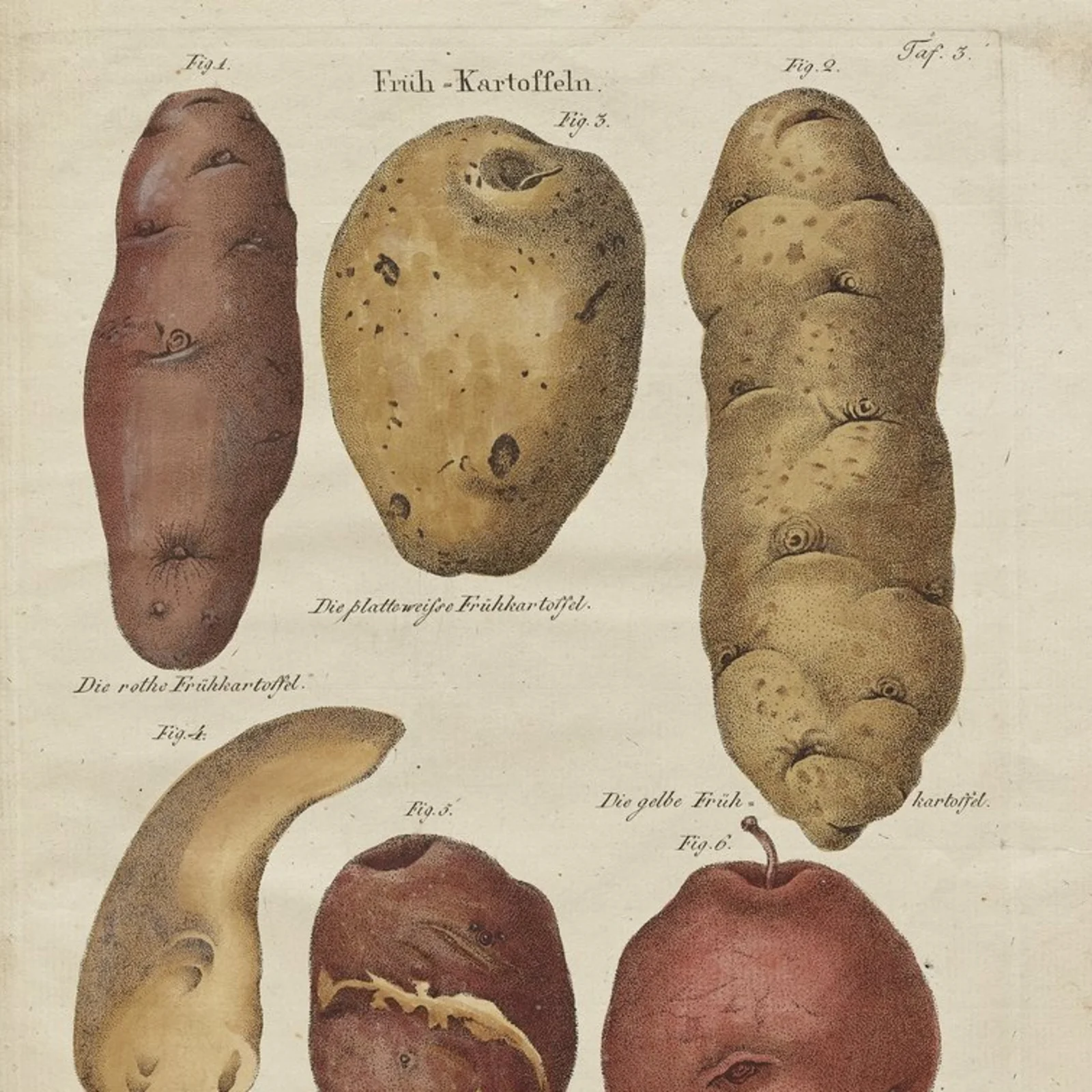 Perspektiven | Deutsches Historisches Museum Journal